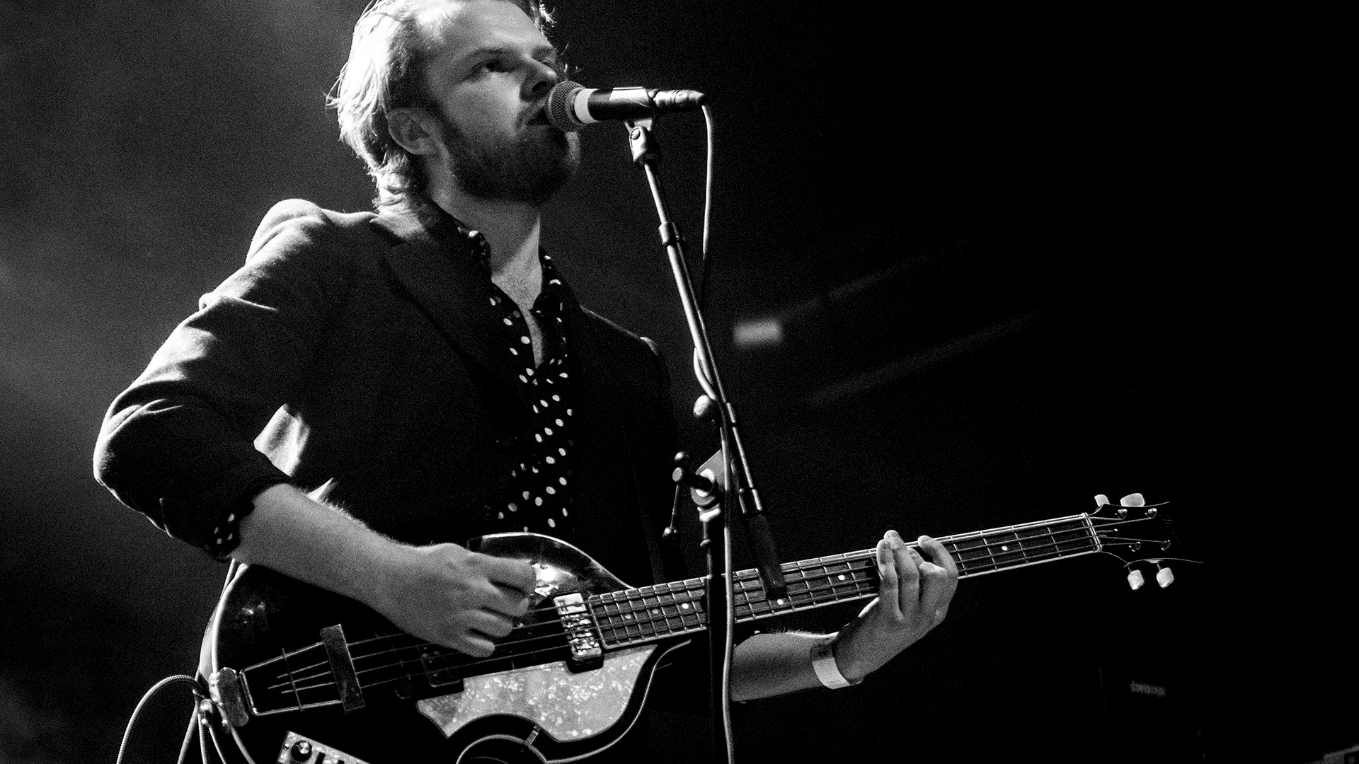 The Flavians | Höfner Dealer